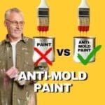 9 Best Anti-Mold Paint - The Painting Over Mold Guide