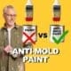 9 Best Anti-Mold Paint - The Painting Over Mold Guide